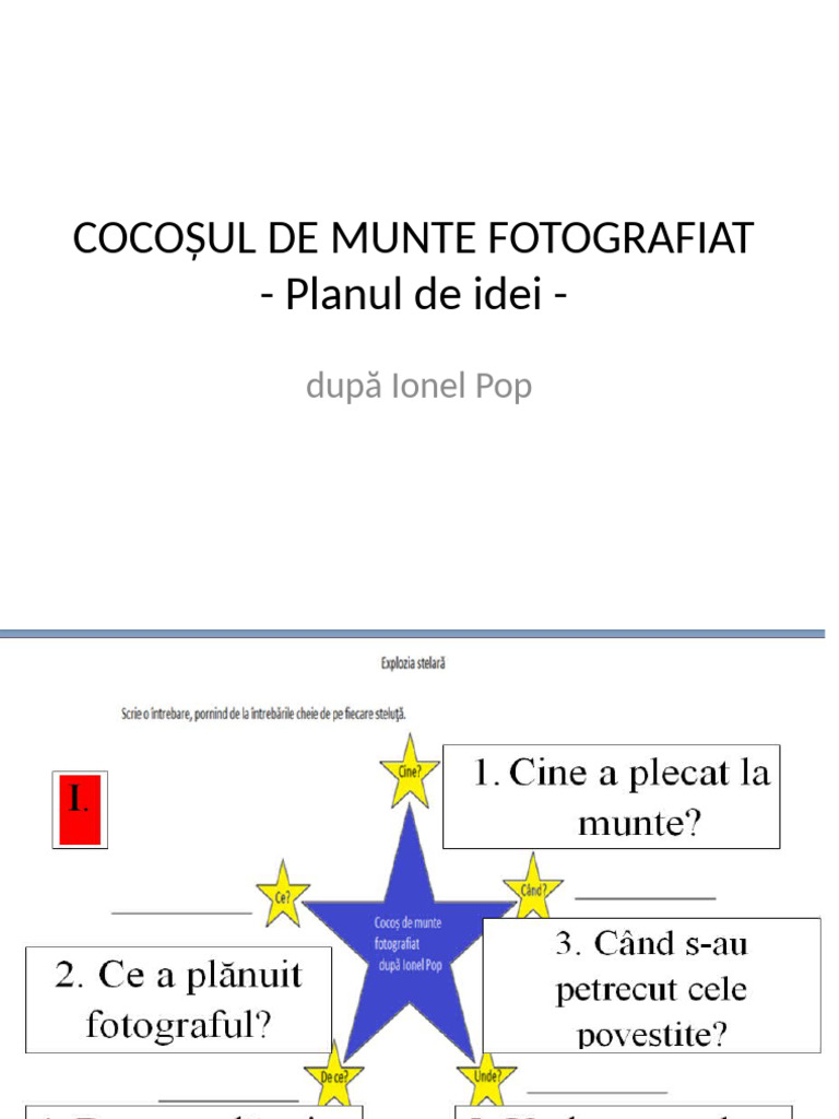 Plan de Idei | PDF