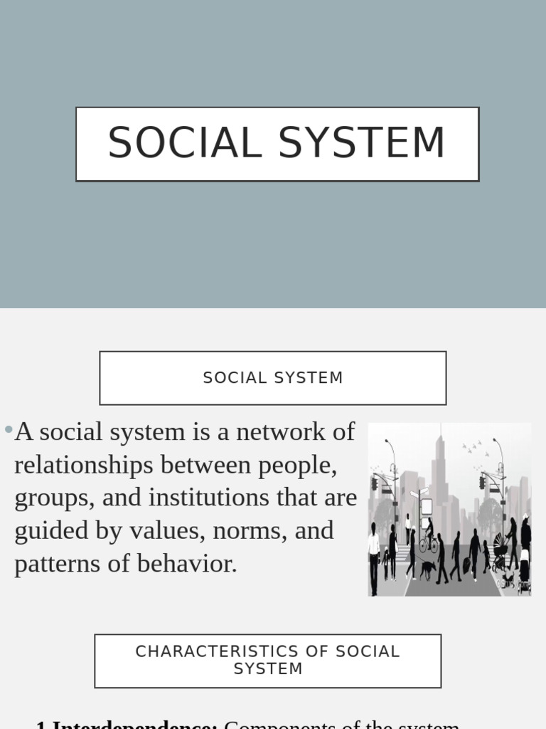SOCIAL SYSTEM | PDF | System | Society