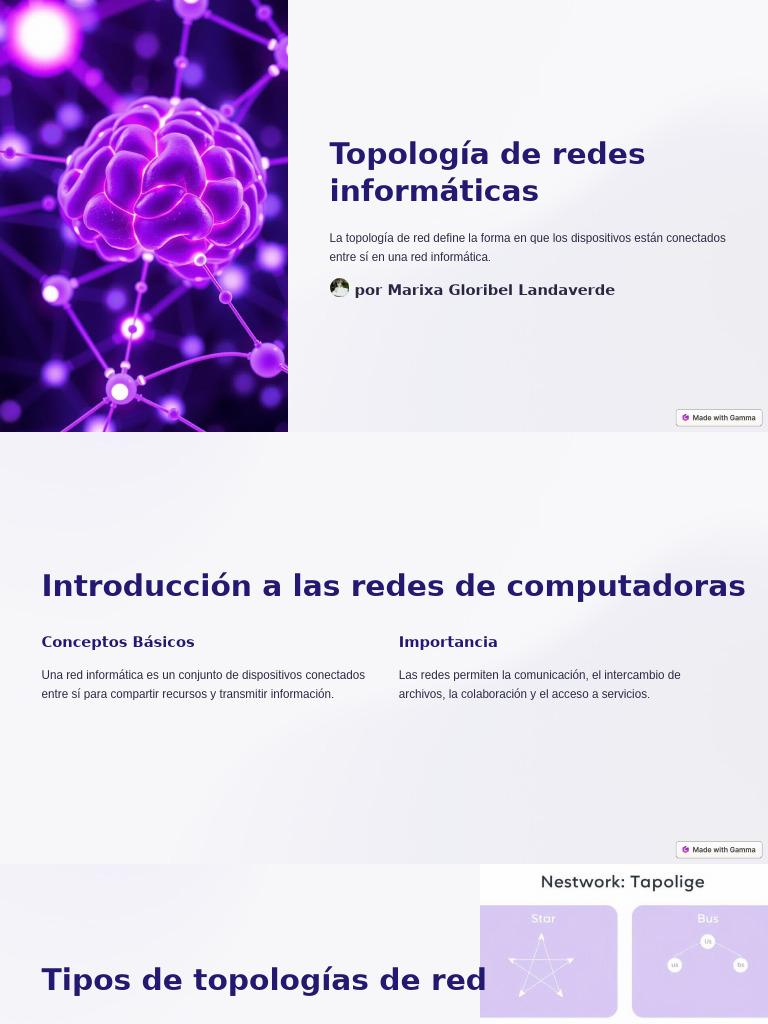 Topologia de Redes Informaticas | PDF