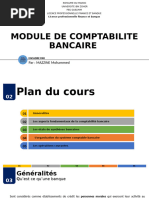 Le Plan Comptable Syscohada-1 | PDF | Comptabilité | Capitaux propres