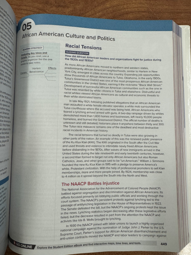 African American Culture & Politics | PDF