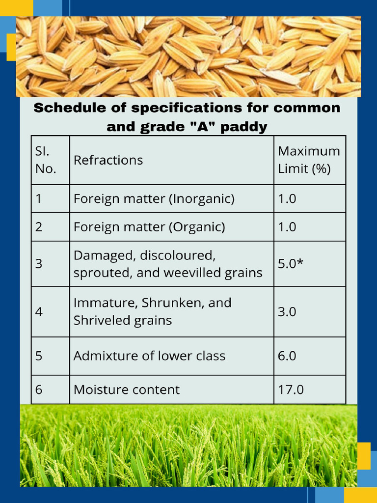 Paddy Specification | PDF