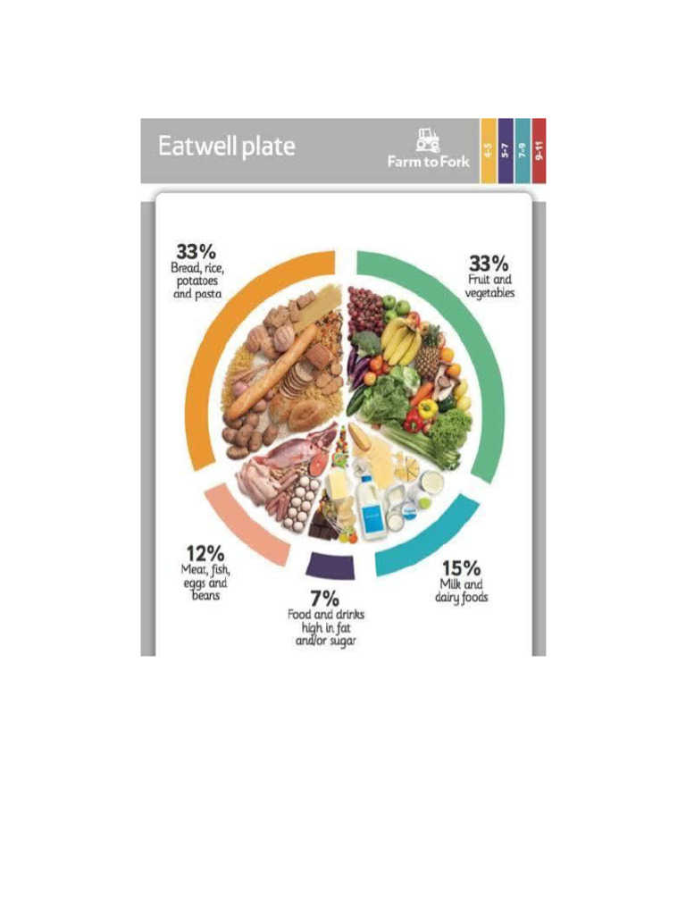 Food Plate | PDF