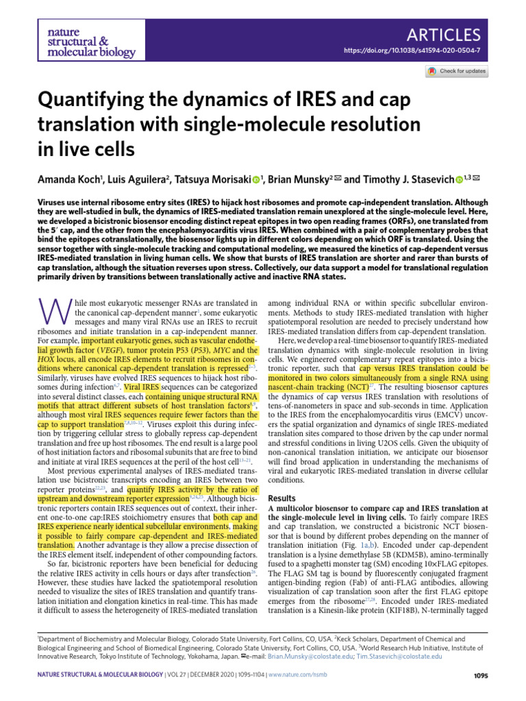 Nature Structure Mol Biol 20 Quantifying The Dynamics of IRES and Cap Translation | PDF ...