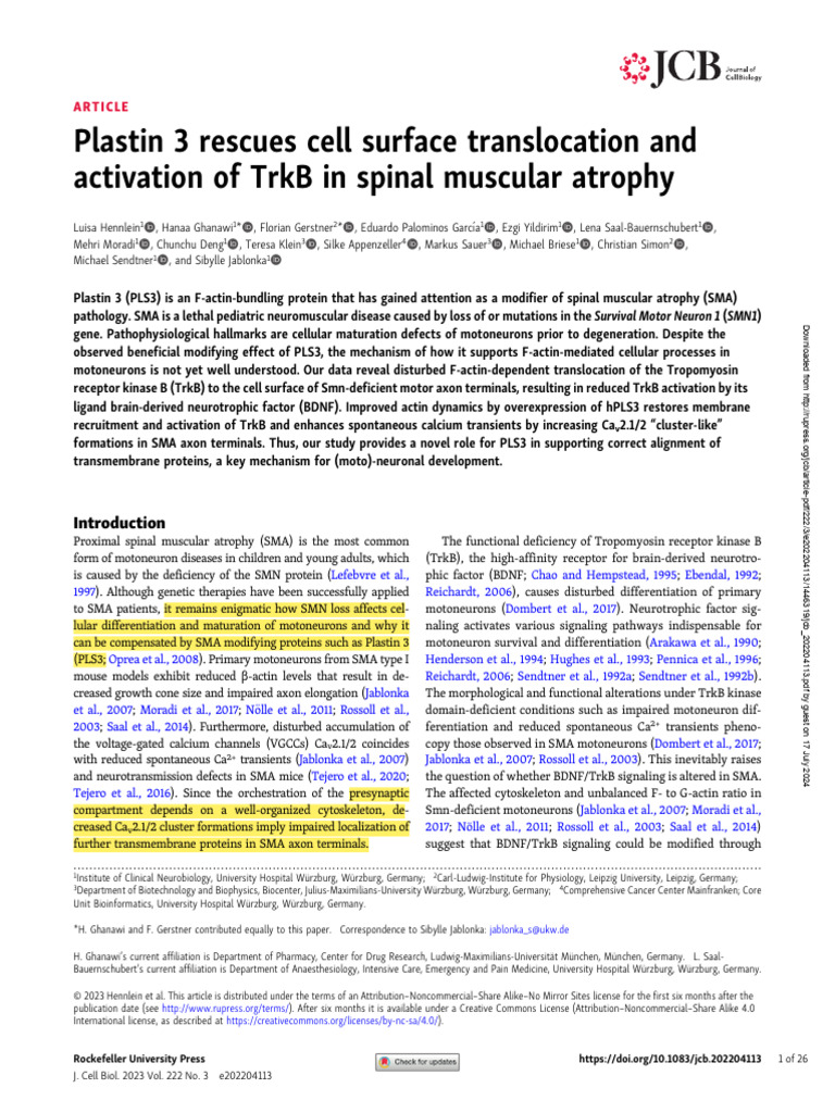 Plastin 3's Role in SMA Treatment | PDF | Biology | Molecular Biology