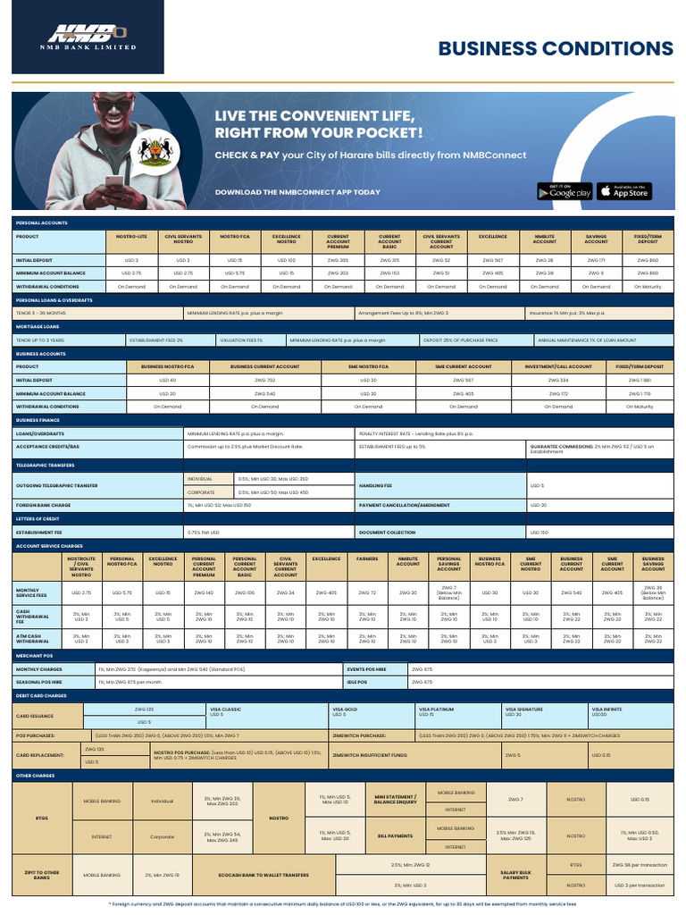 NMB Business Conditions Overview 2025 | PDF | Banks | Transaction Account