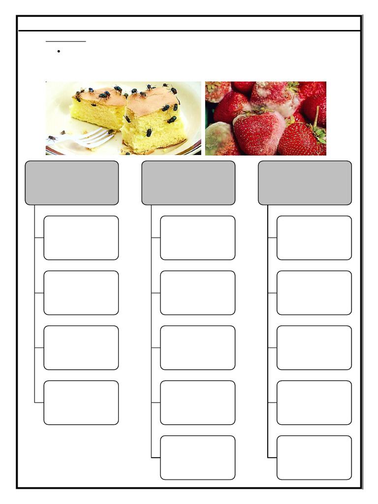 Modul Awas, Sebaran Penyakit - PK T6 | PDF