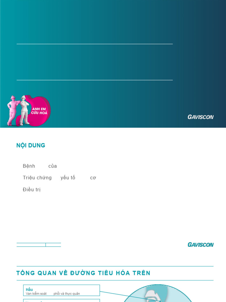Gaviscon | PDF