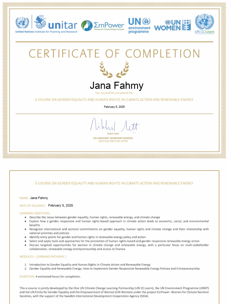 Certificate of Completion - Learning Pathway 1 | PDF