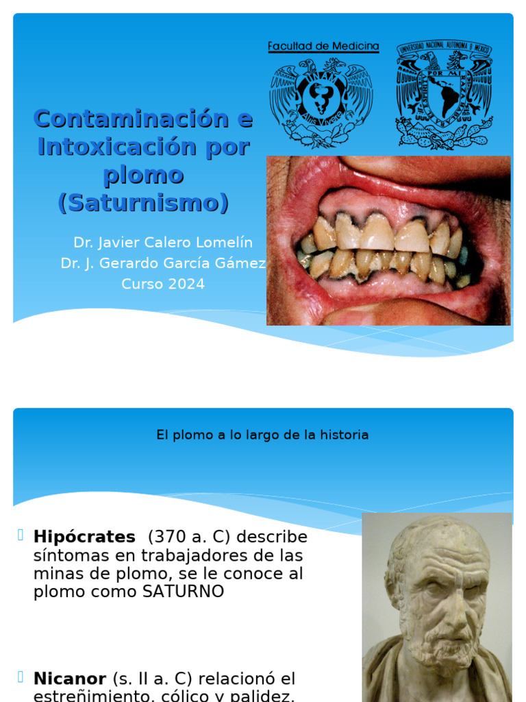 Plomo 2024 | PDF | Dirigir | Pintar