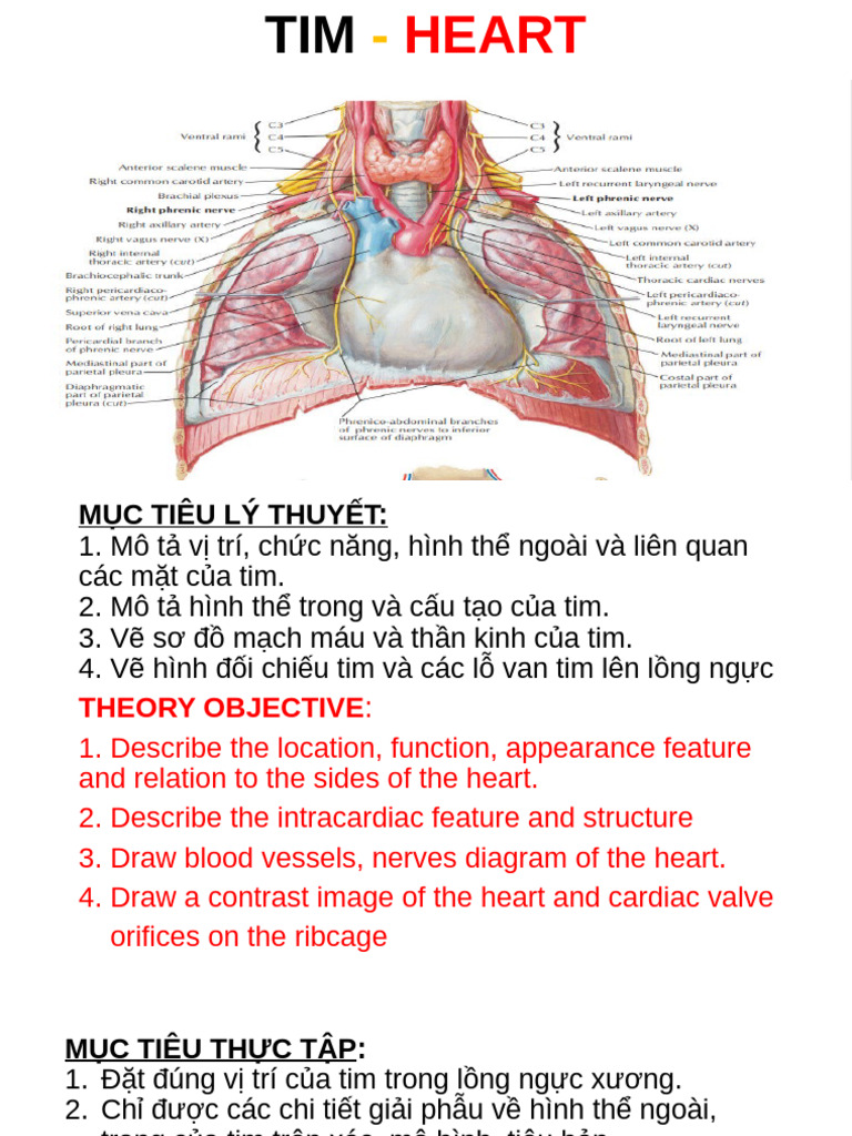 a6 Tim giảng | PDF