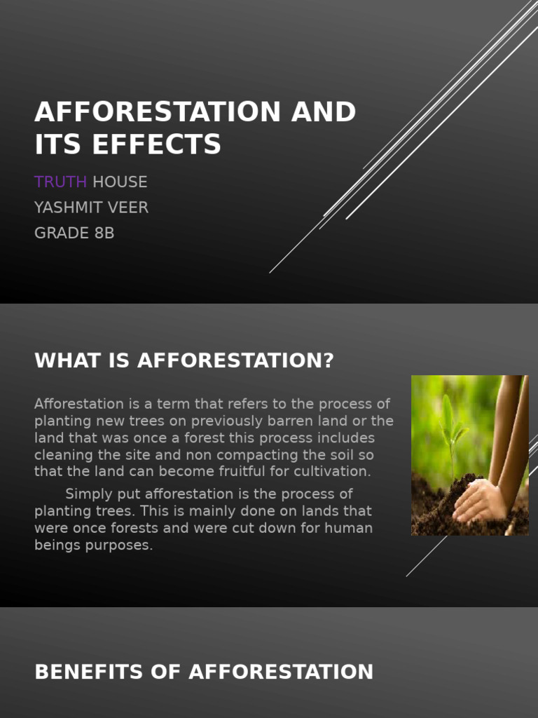 Effects of Afforestation Explained | PDF