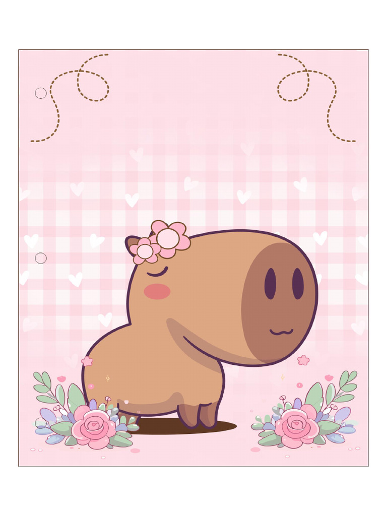 separadores capy y stich | PDF