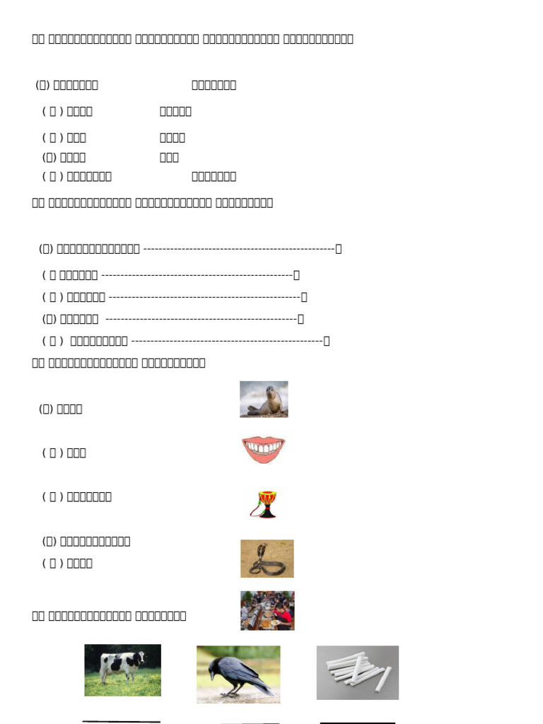 G1 Myanmar Final Text 2 | PDF