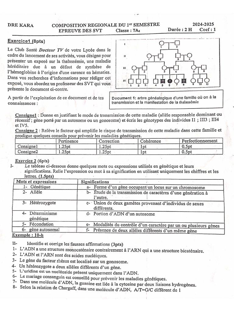 DST KARA Tle A4 1er Semestre | PDF