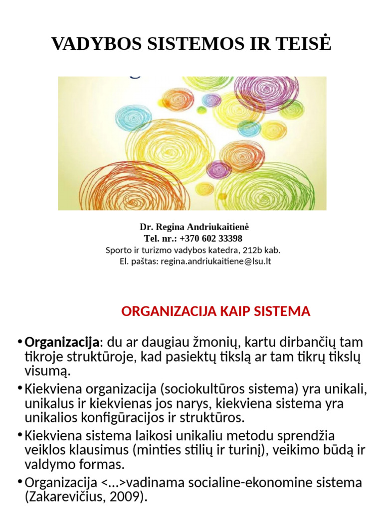 TEMA VST 2024 1 | PDF