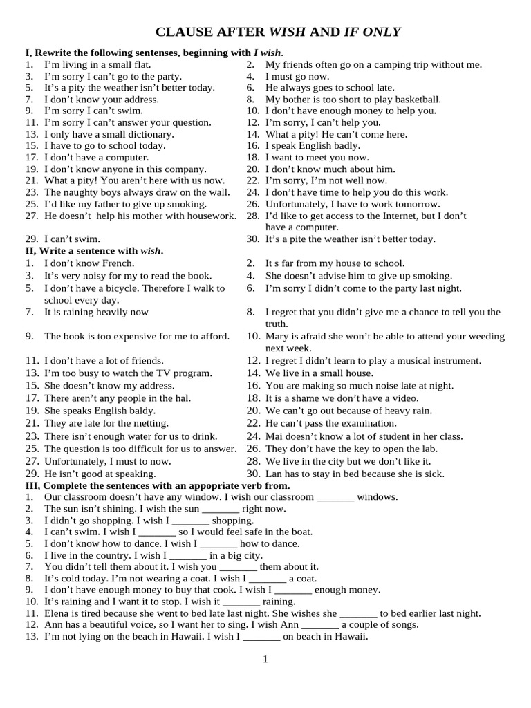 Wish and If Only Sentence Practice | PDF