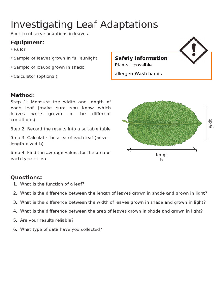 Leaf Adaptations Worksheet | PDF