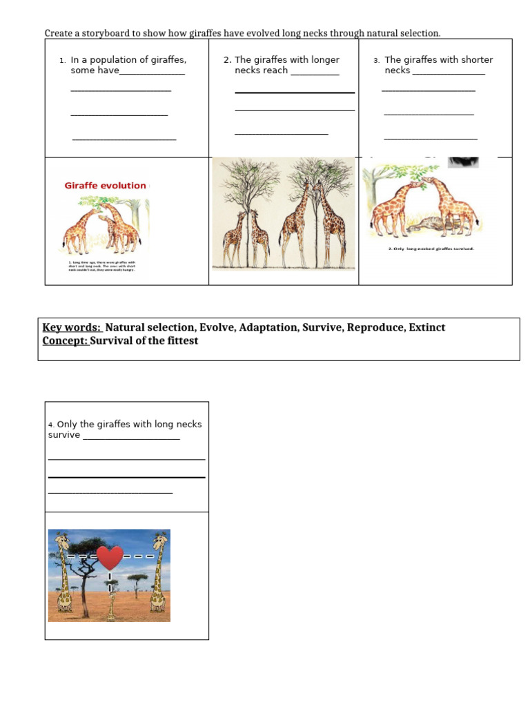 Natural Selection Cartoon Picture | PDF