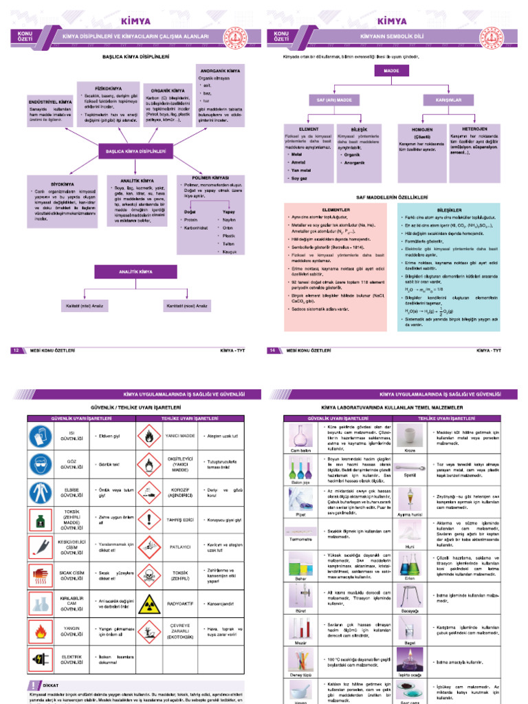 TYT Sadeleştirilmiş MEBİ özet_250218_190206 | PDF