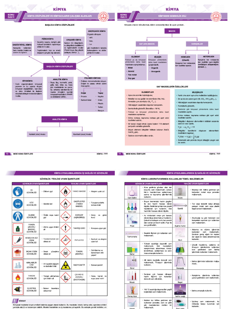 TYT Sadeleştirilmiş MEBİ Özet | PDF
