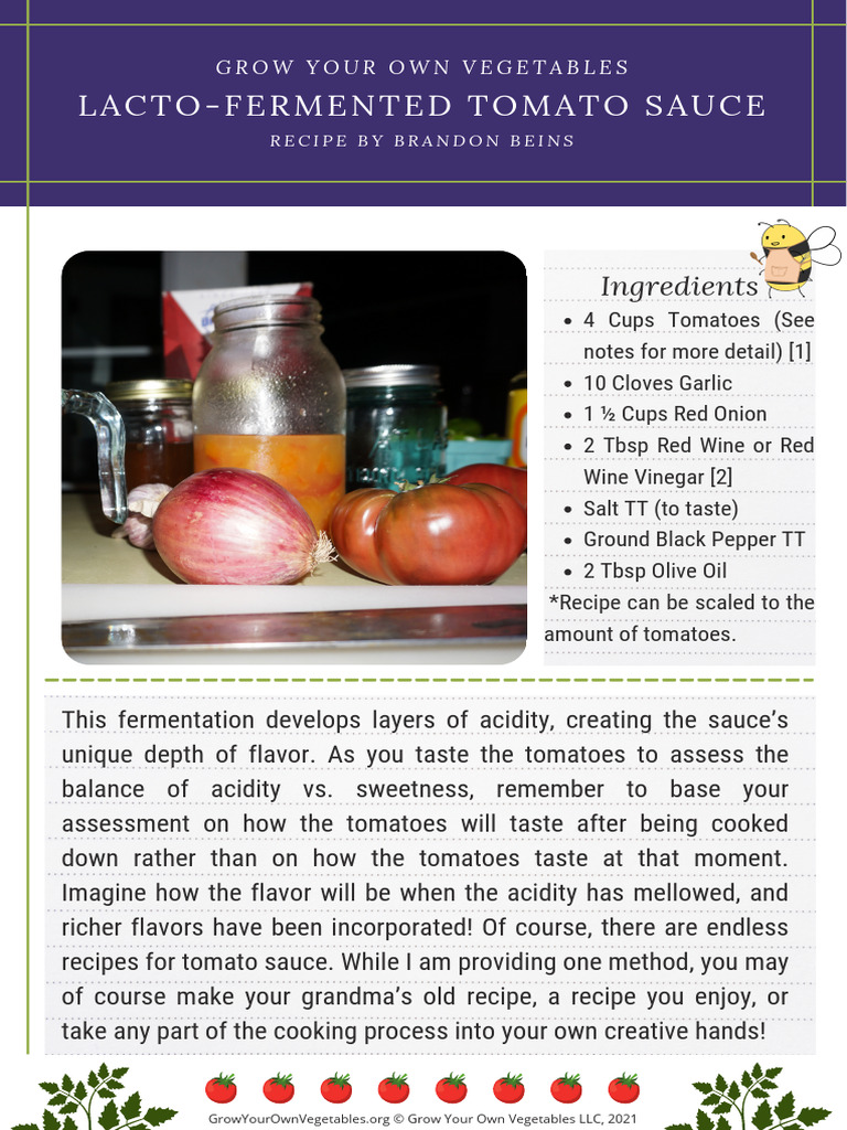 Fermentation Focussed Lacto Tomato Sauce | PDF | Tomato | Garlic