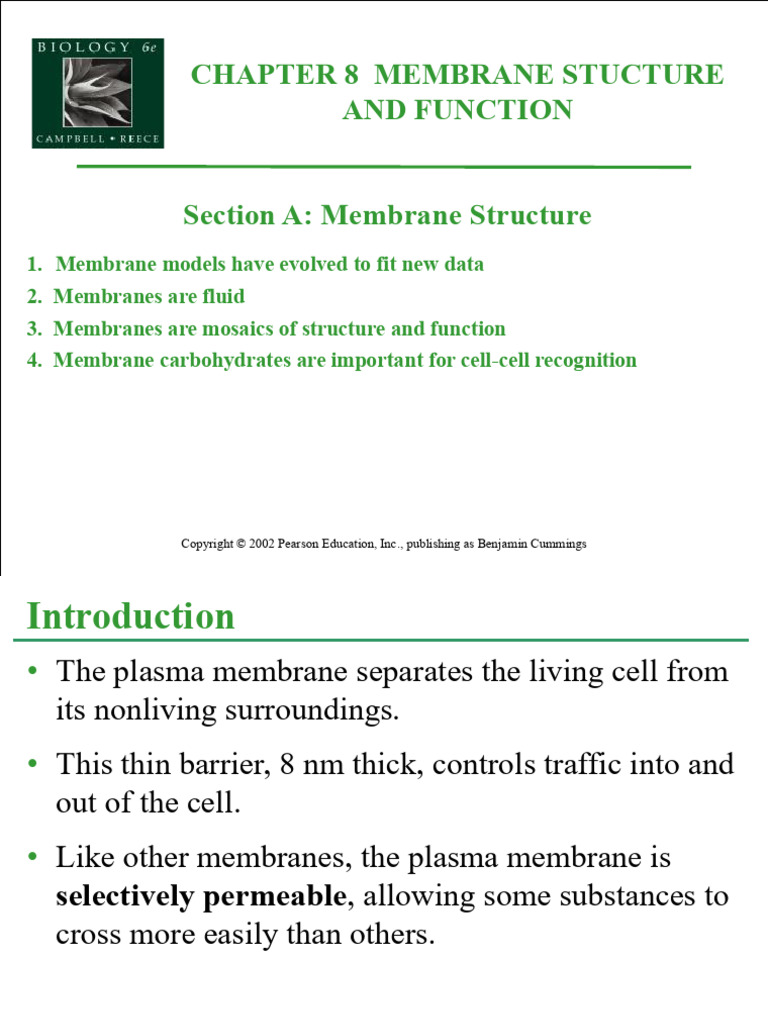 Ap8 MembraneStructureandFunction | PDF | Cell Membrane | Membrane Potential