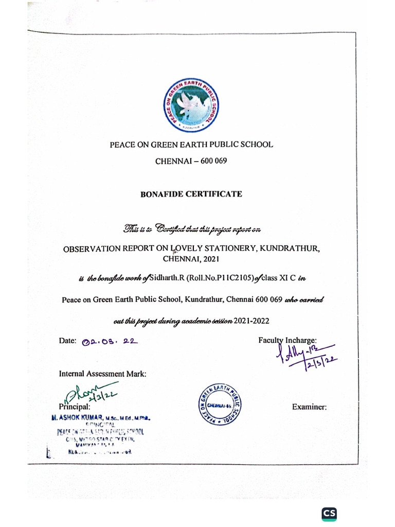Business Project Example | PDF