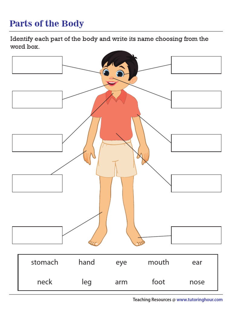 Labeling | PDF