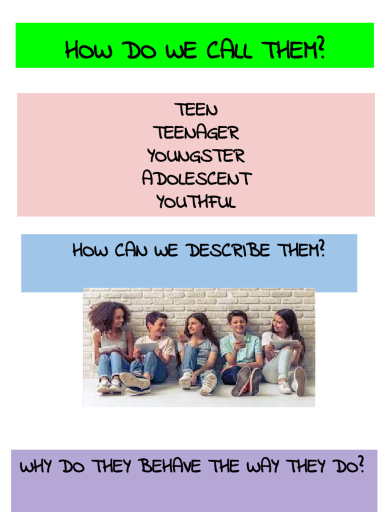 1 the Teenage Brain | PDF