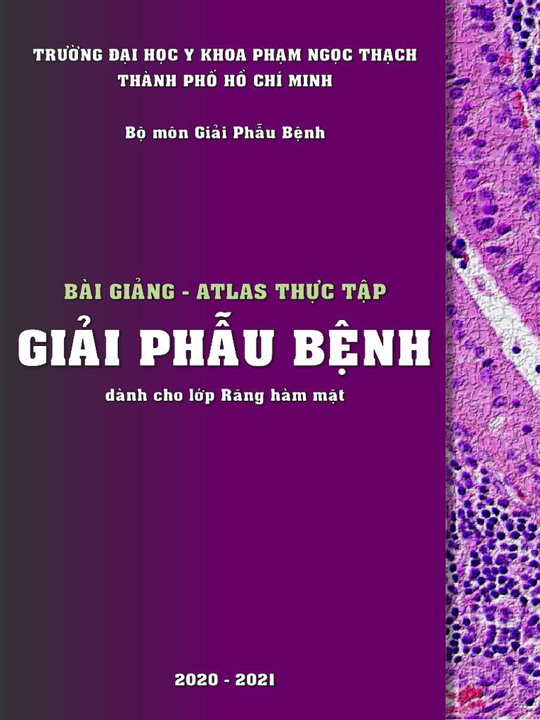 Giáo Trình Thực Tập GPB RHM 2021 | PDF