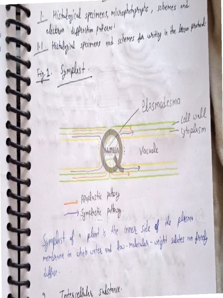 Alpha Q HISTO Lesson 3 | PDF