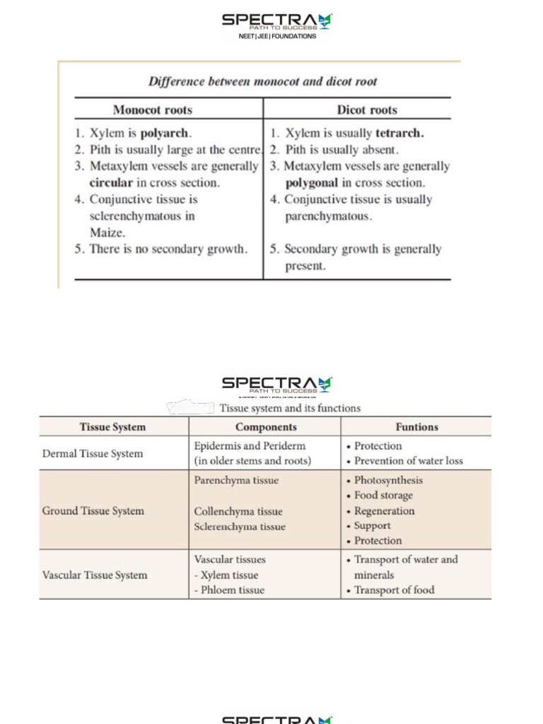 Difference Table BOT | PDF