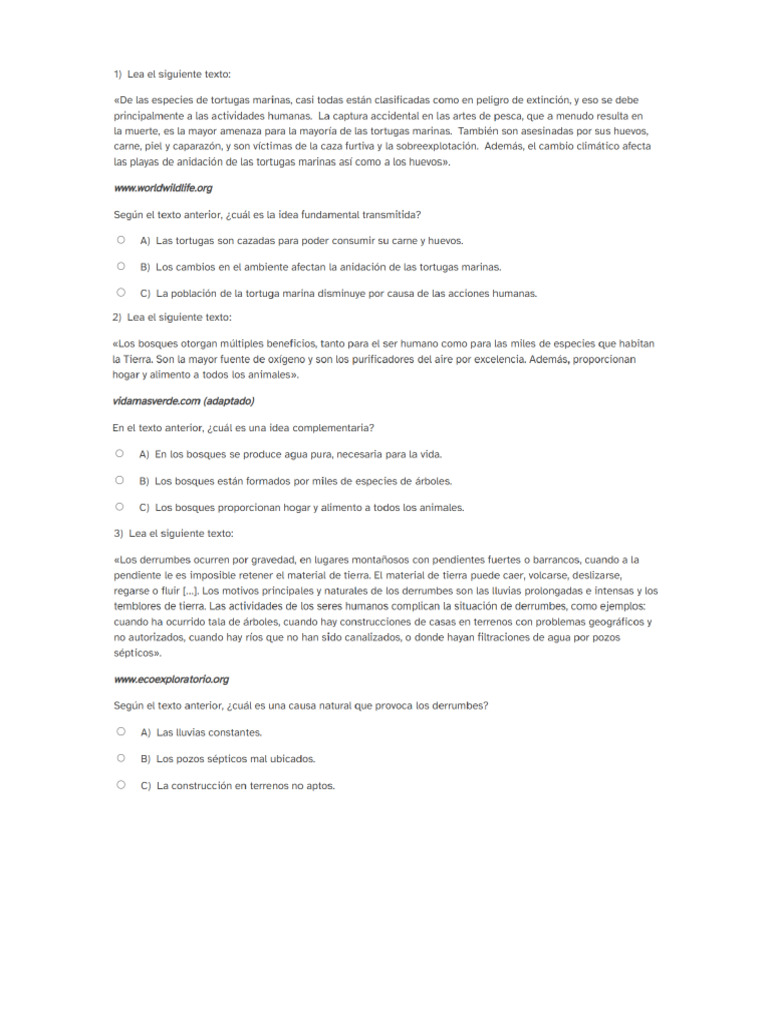 Practica Estandarizada Español | PDF