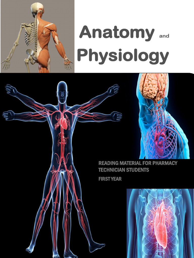 aqhnllqr.fq3 | PDF | Lymph | Endoplasmic Reticulum