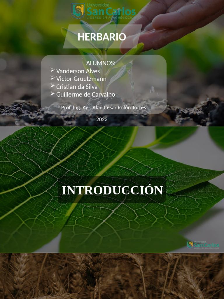 Botanica 2 - Herbario | PDF