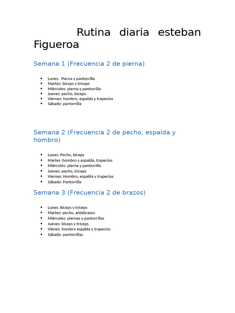 Rutina Diaria Esteban Figueroa | PDF