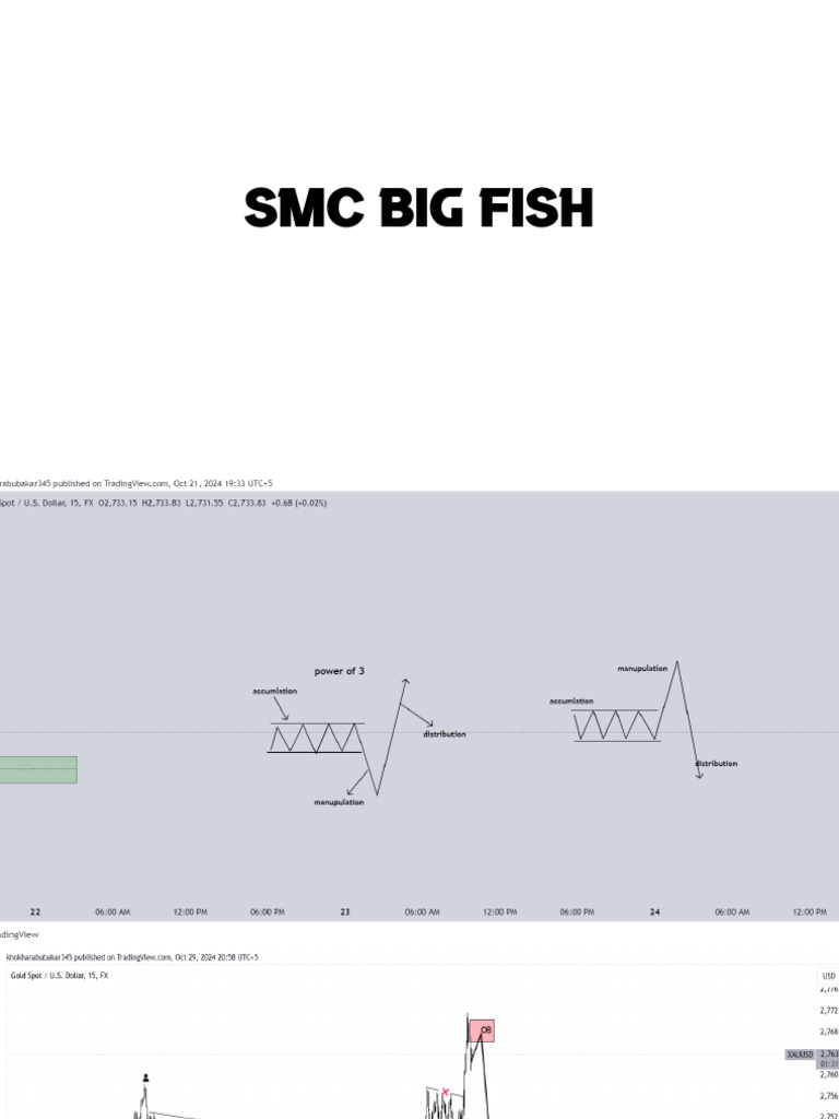 smc BIG fish | PDF