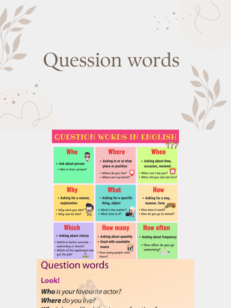 Understanding Question Words in English | PDF