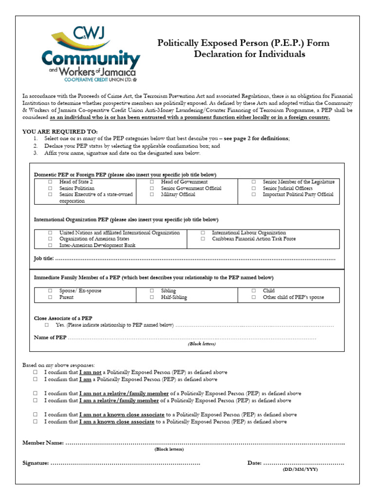 PEP Declaration Form for Individuals | PDF | Government | Government ...
