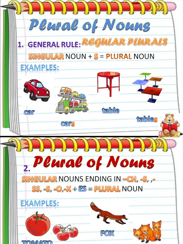 Plural of Nouns Lesson With Sound | PDF