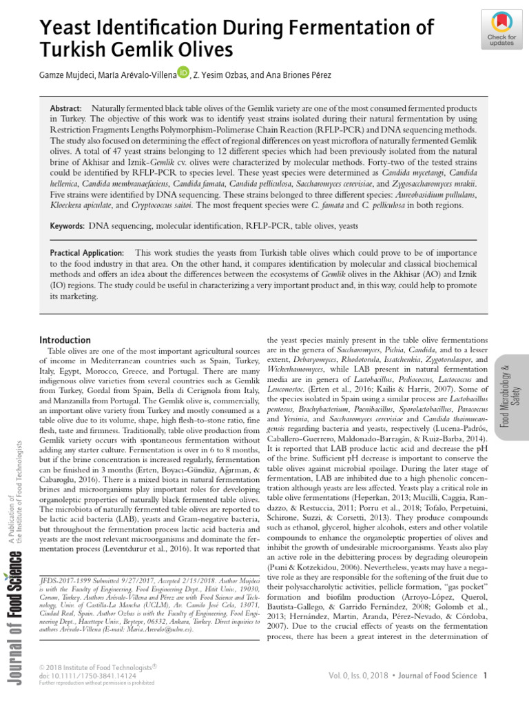 Yeast Identification During Fermentation of Turkish Gemlik Olives | PDF ...