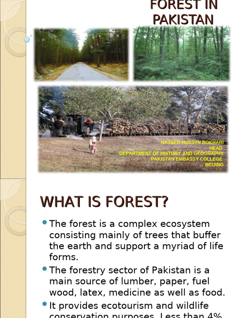 Forests of Pakistan: Types and Importance | PDF | Deforestation | Mangrove