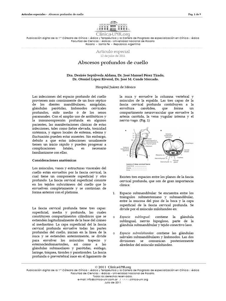 Abscesos Profundos en el Cuello: Guía Clínica | PDF | Especialidades ...