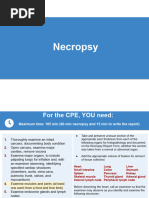 Necropsy Report | PDF | Stomach | Autopsy