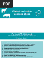 Your Goats Normal Vital Signs Fudetb | PDF | Goat | Thermoregulation