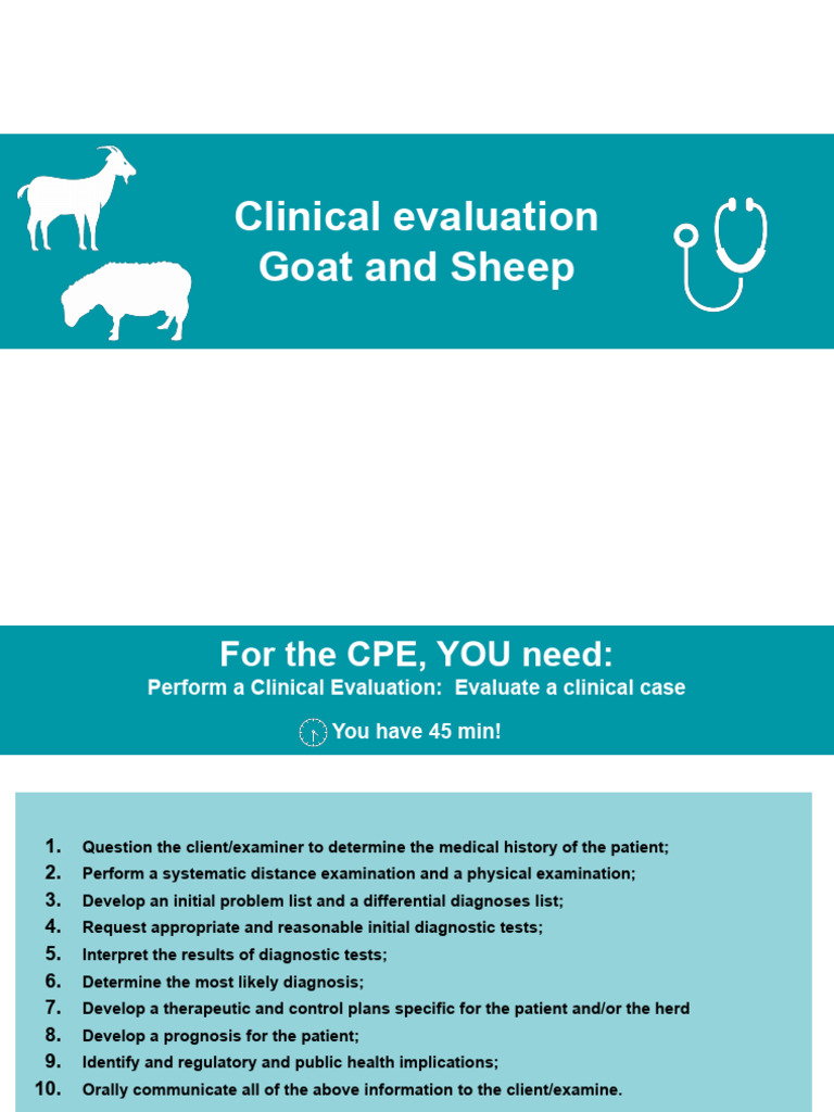 CPE_ Sheep and Goat_ Clinical Evaluation | PDF | Pulse | Lung
