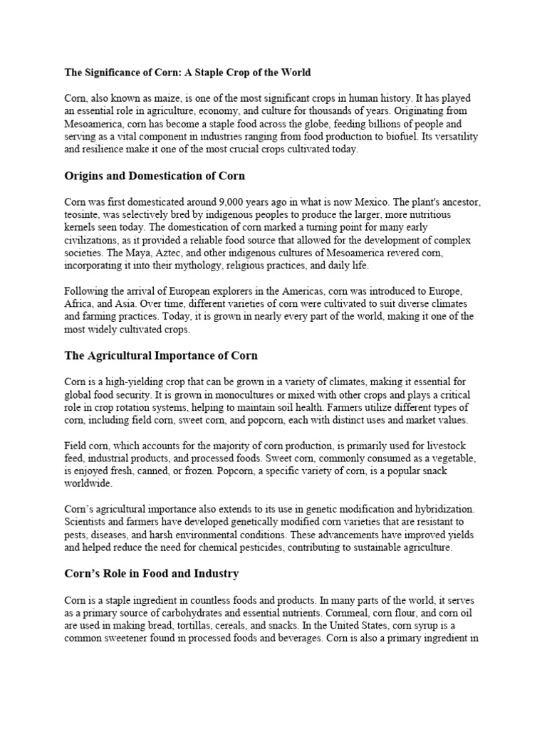 Importance of Corn as a Global Staple | PDF | Maize | Agriculture