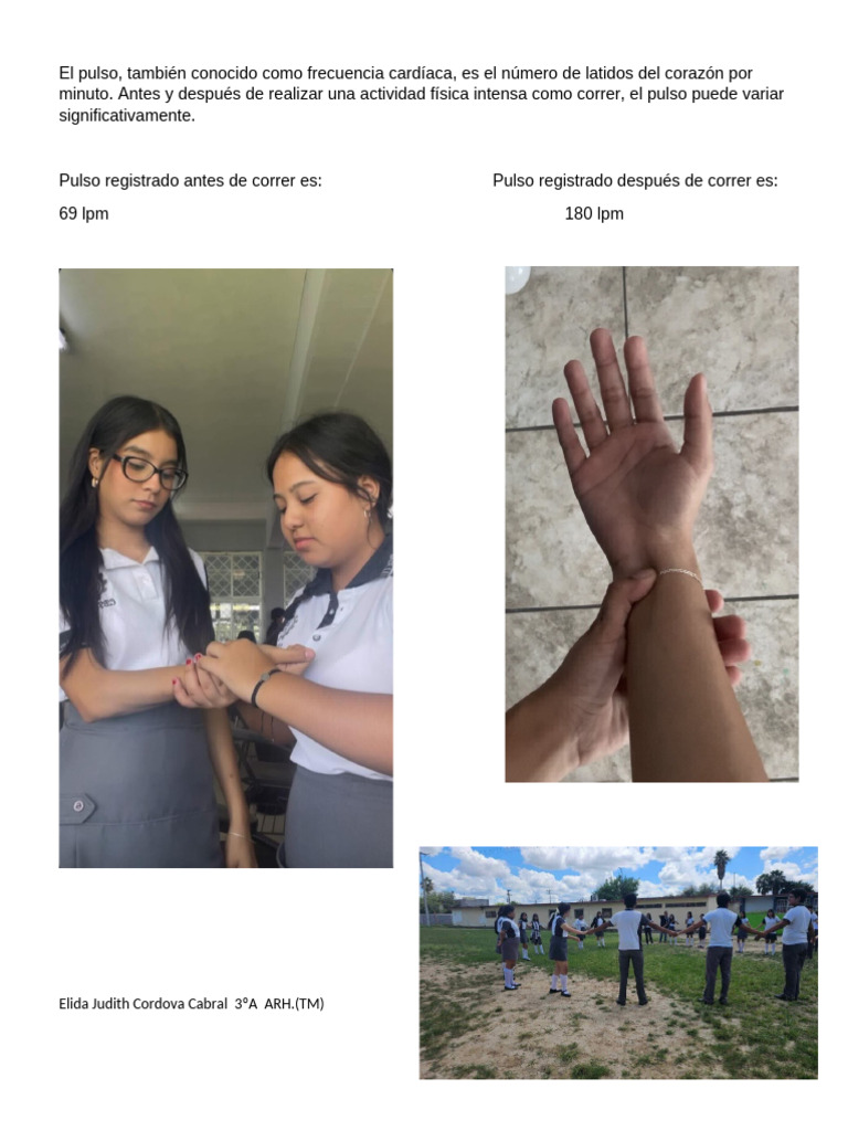 El Pulso | PDF