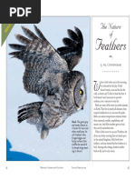 Apologia Flying Creatures CH 3 | PDF | Feather | Dinosauriforms